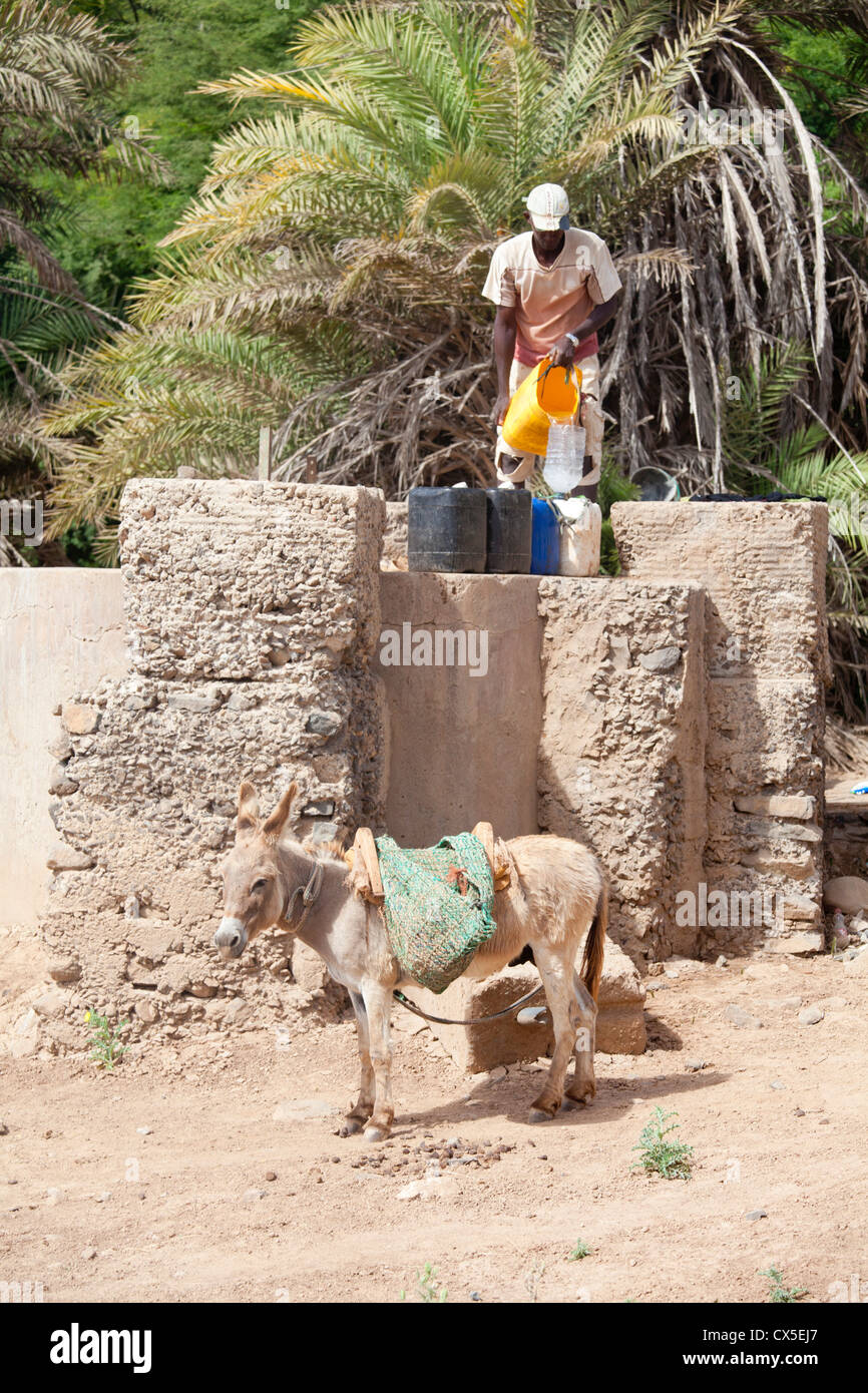 Man who draws water from the well Stock Photo - Alamy