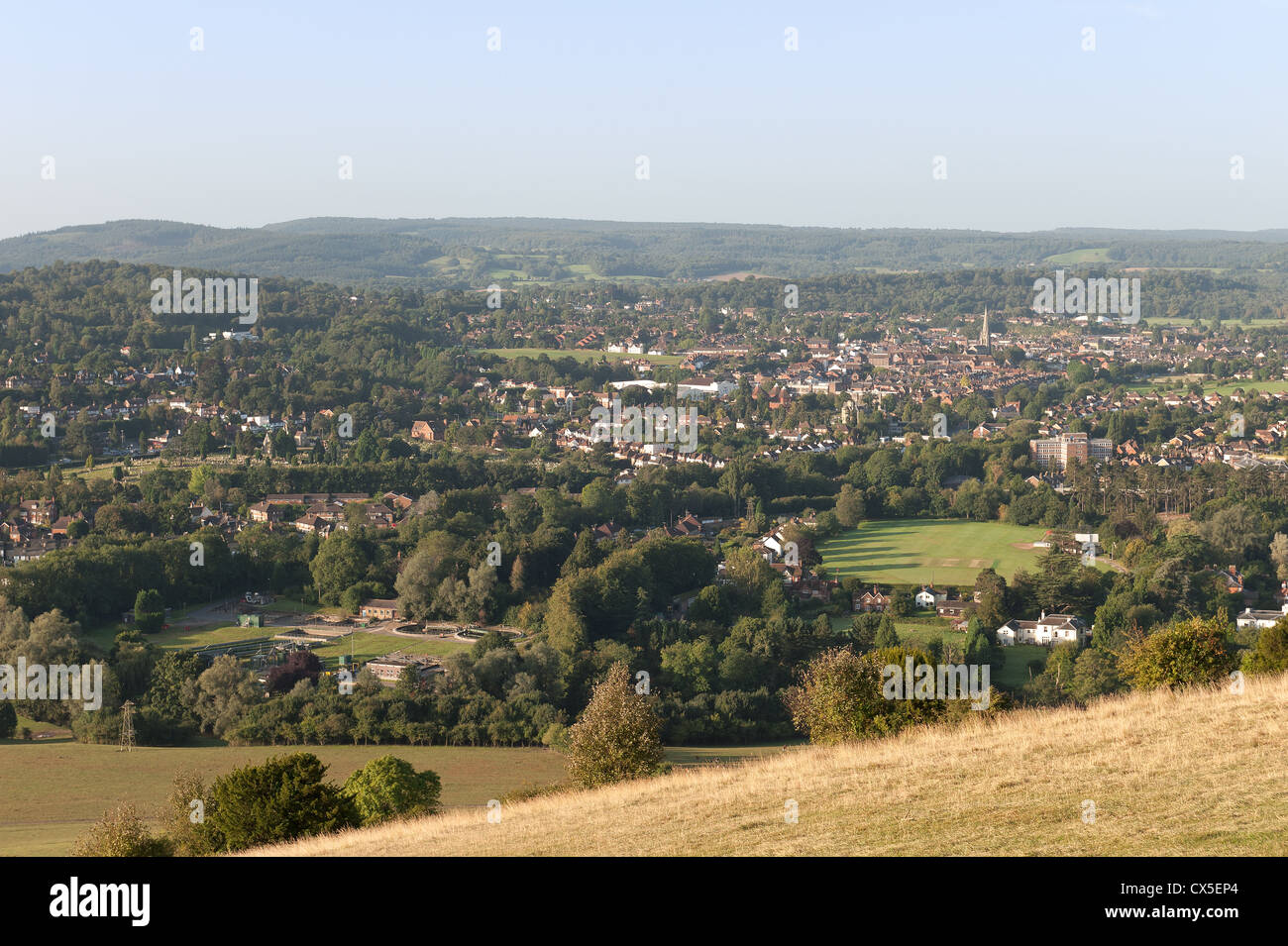 Box hill surrey in summer hi-res stock photography and images - Alamy