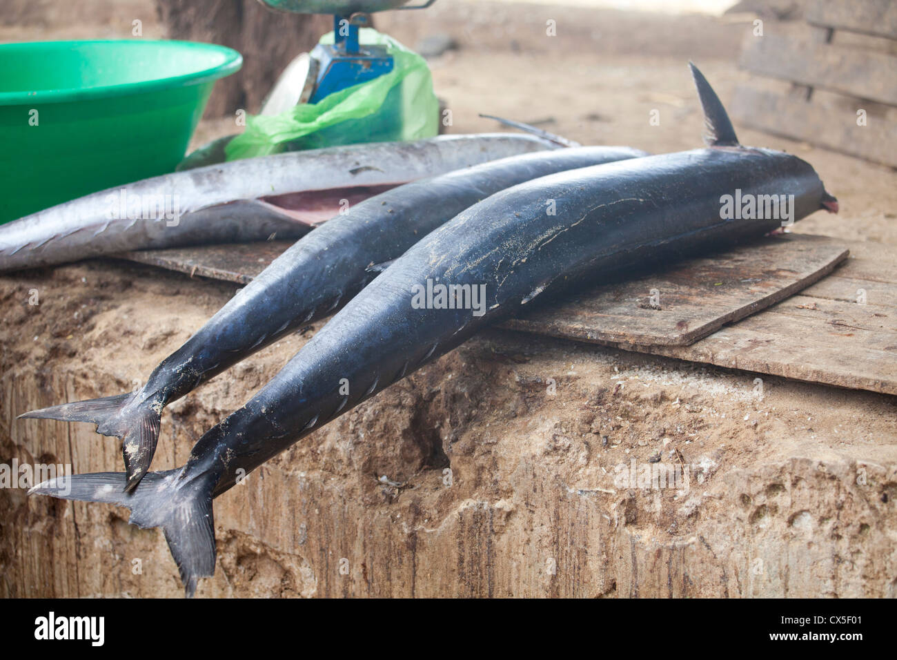 Fish boa hi-res stock photography and images - Alamy