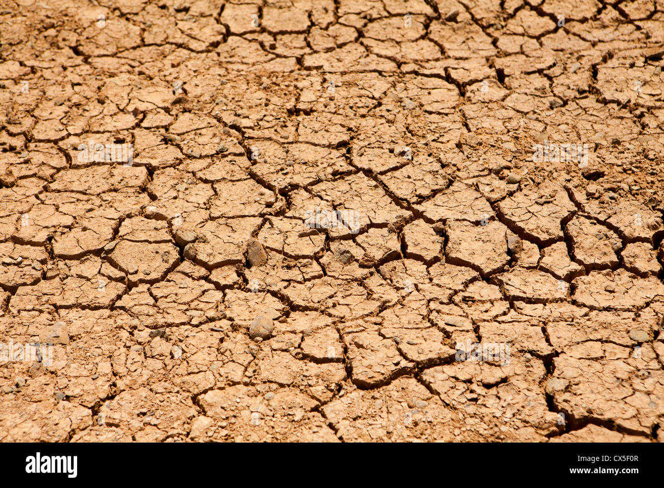 Background texture image of African dried ground Stock Photo - Alamy