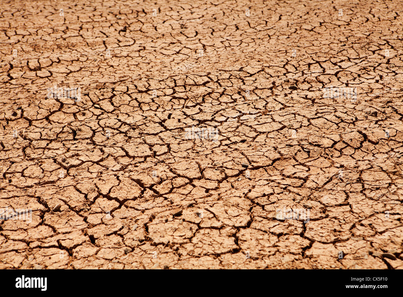 Soil infertility hi-res stock photography and images - Alamy