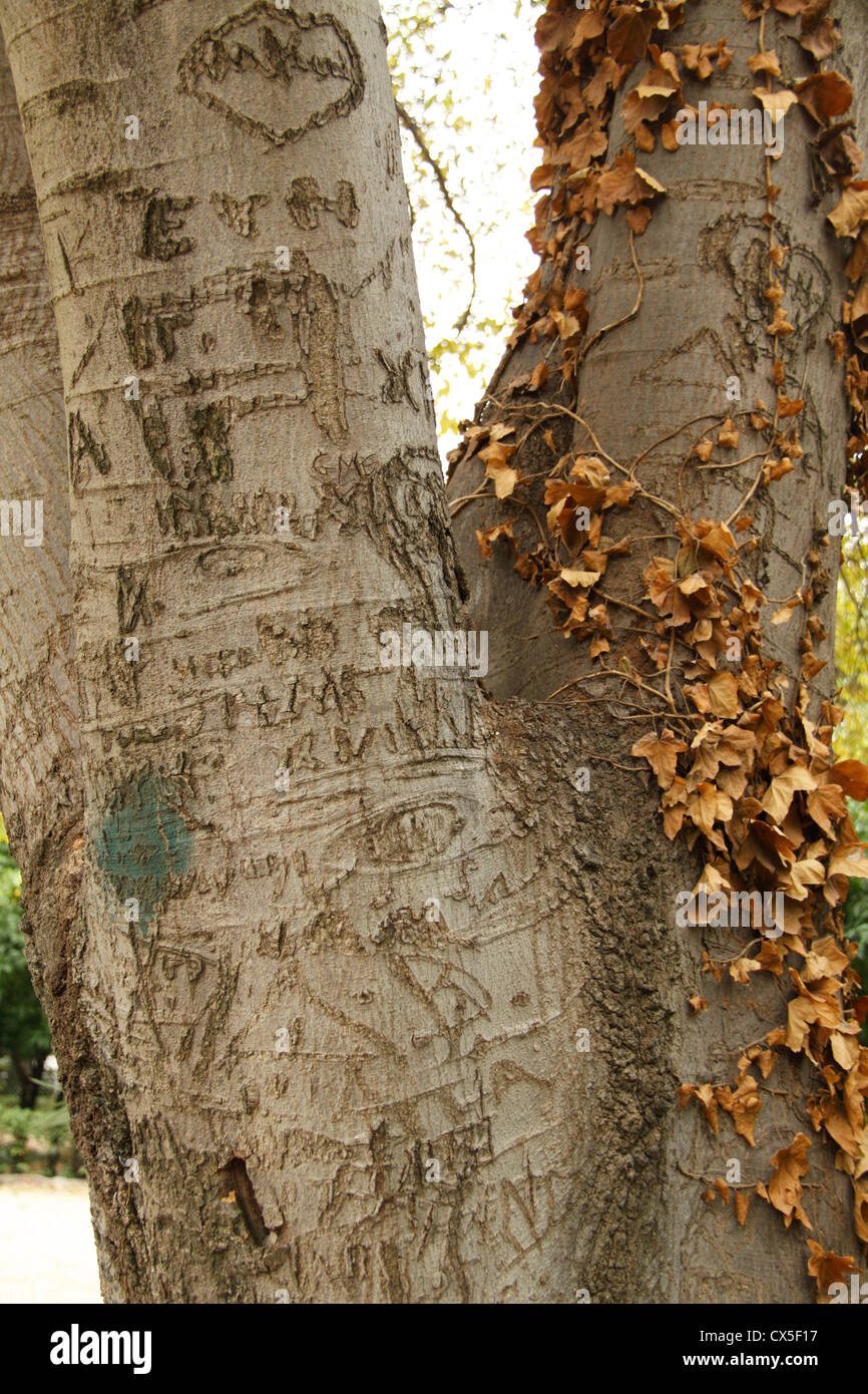 National gardens of athens greece hi-res stock photography and images ...