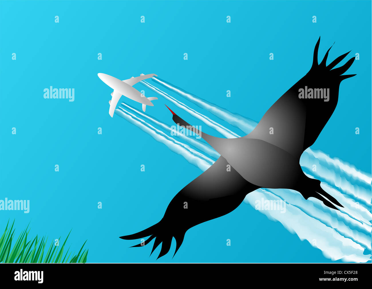 bird and plane in the blue sky Stock Photo - Alamy