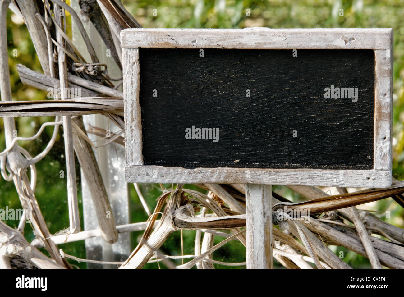 Blank vintage chalkboard gardening sign with rustic colored branches ...