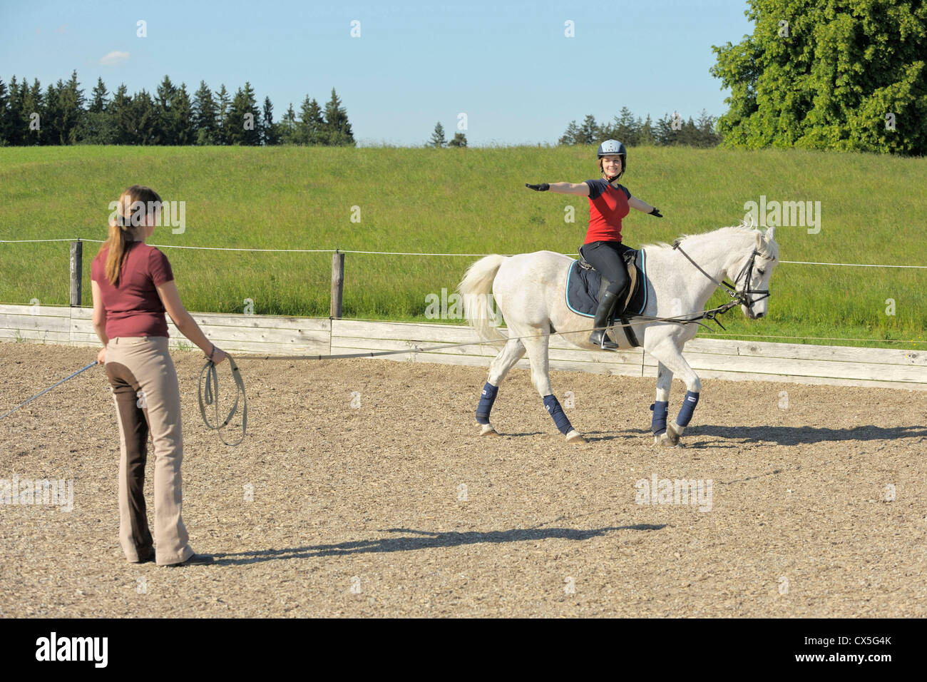 Young rider on back of a grey pony getting a longe lesson Stock Photo ...