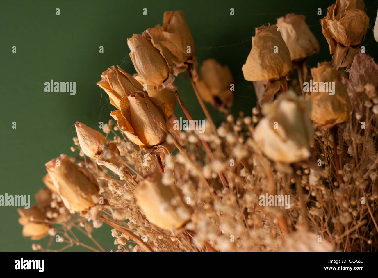 Dead flowers interior hi-res stock photography and images - Alamy