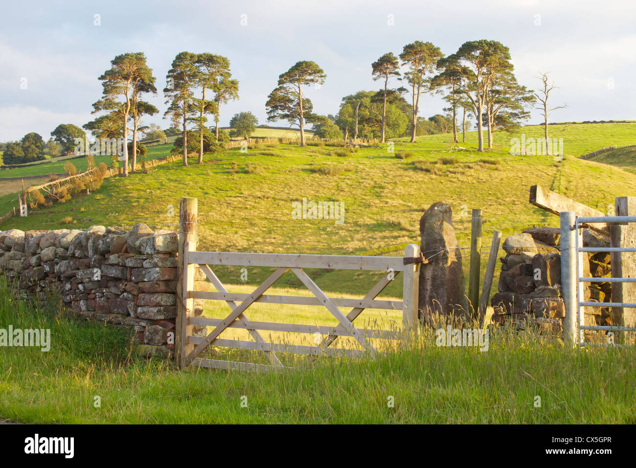Stone gate dry stone wall hi-res stock photography and images - Alamy