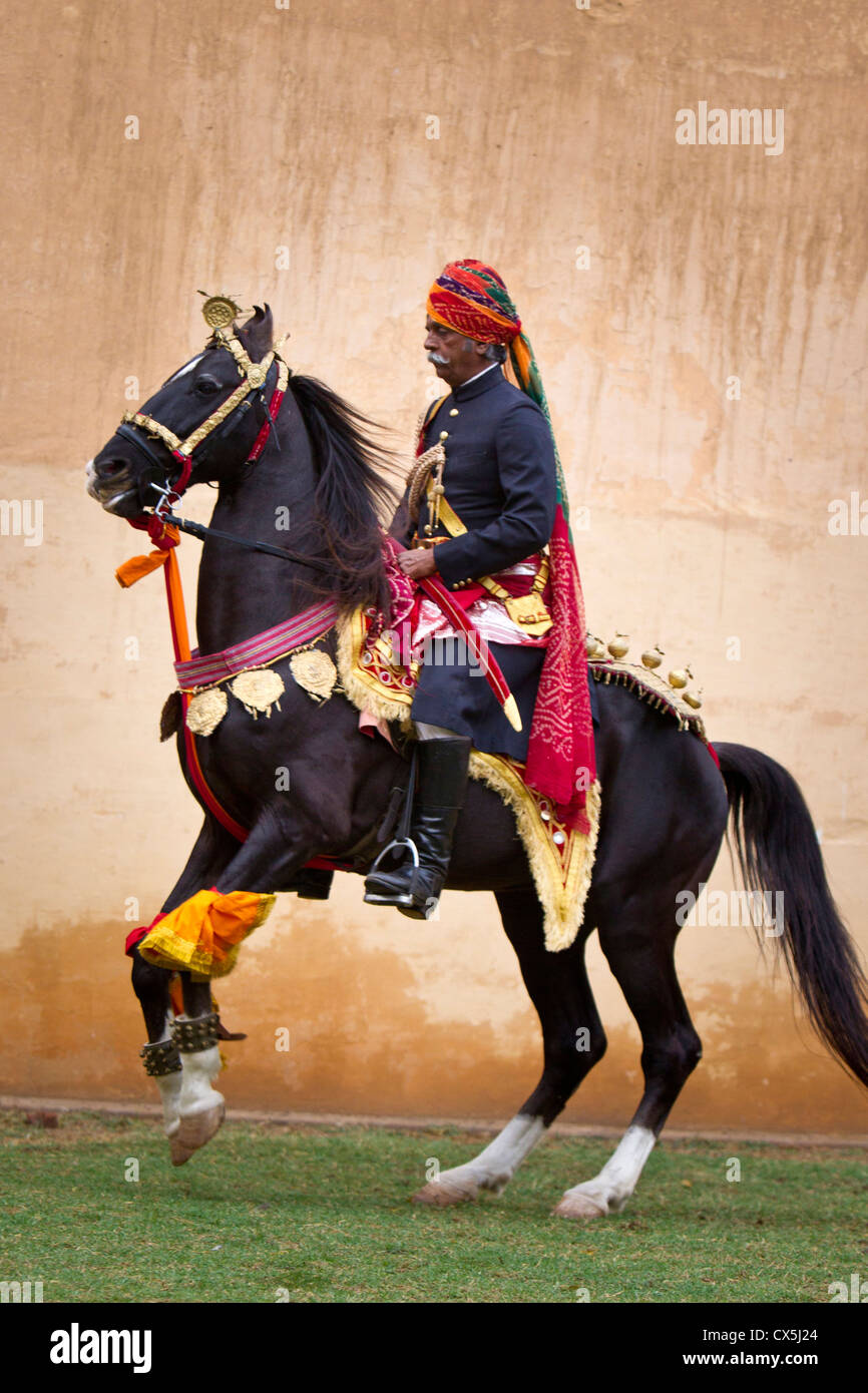 Marwari horse rider hi-res stock photography and images - Alamy