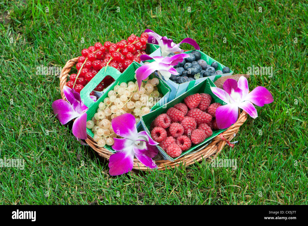 Fresh tasty different type of berries Stock Photo - Alamy