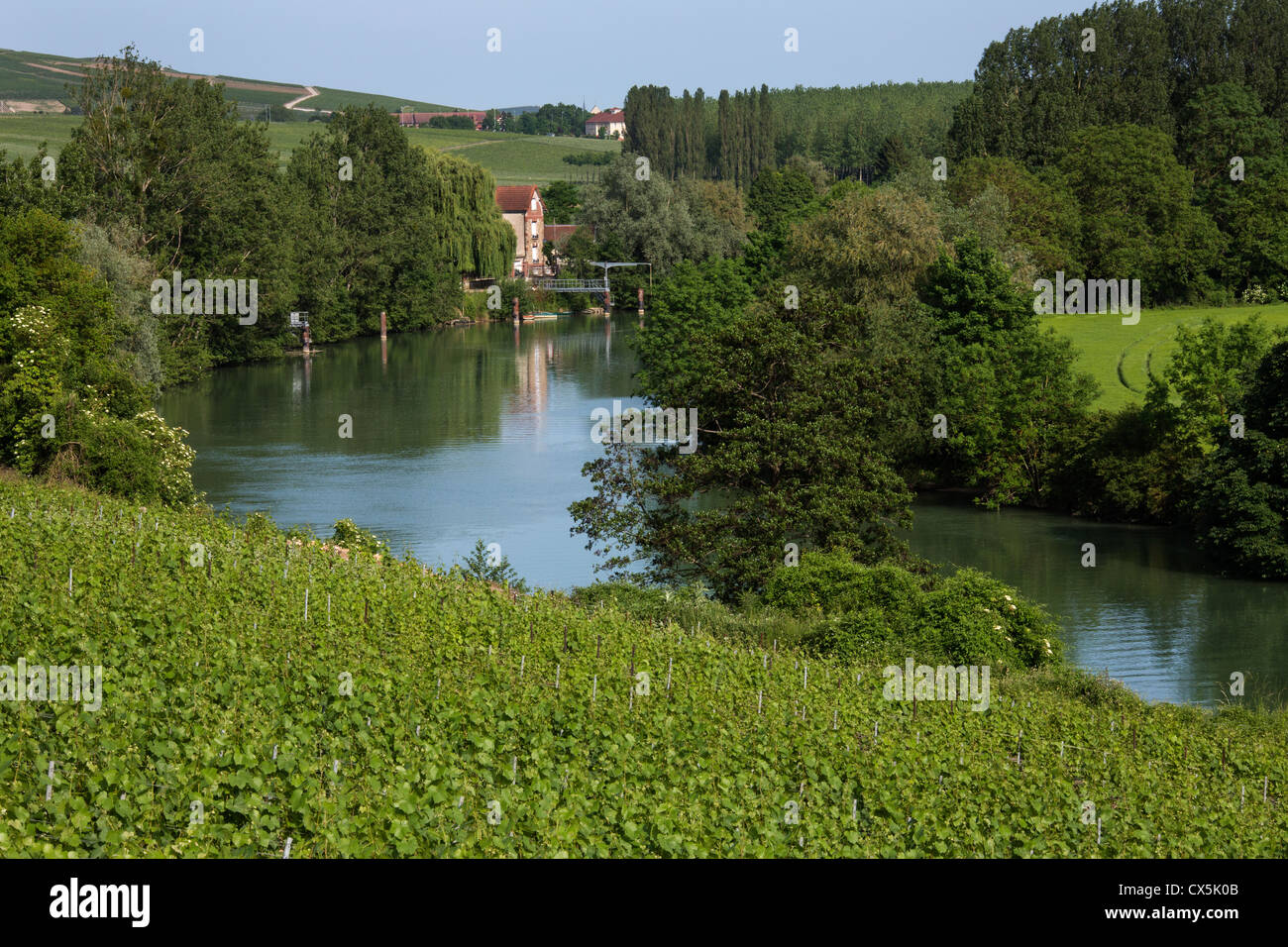 River marne france hi-res stock photography and images - Alamy