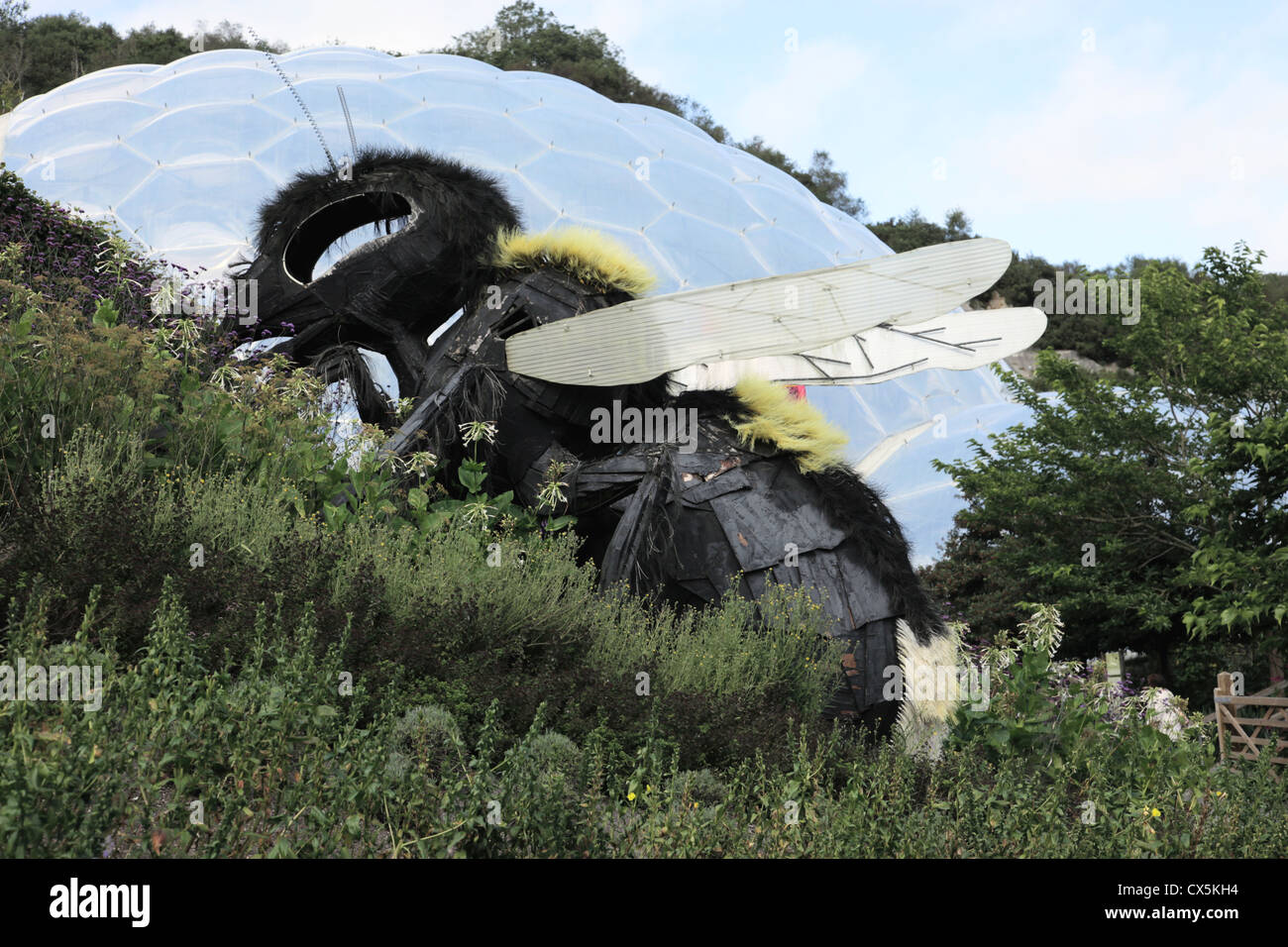 Giant bee hi-res stock photography and images - Alamy