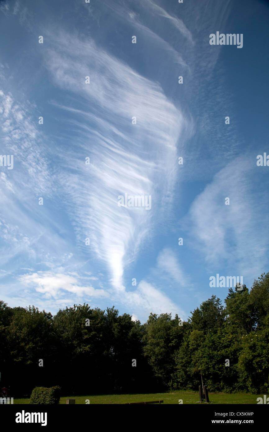 Uncinus hi-res stock photography and images - Alamy