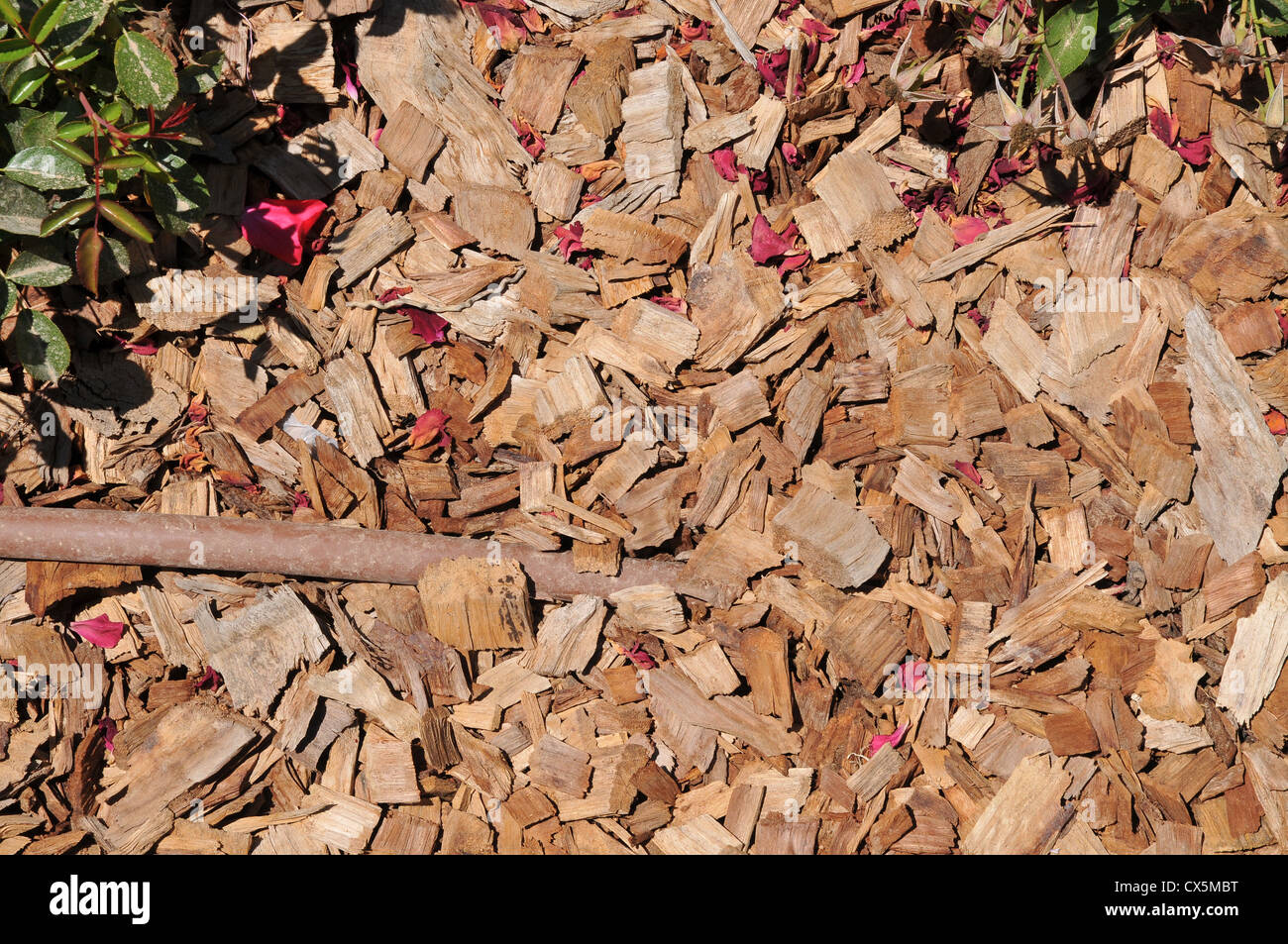 Drip Irrigation of a garden an efficient way to save water. Wood ...