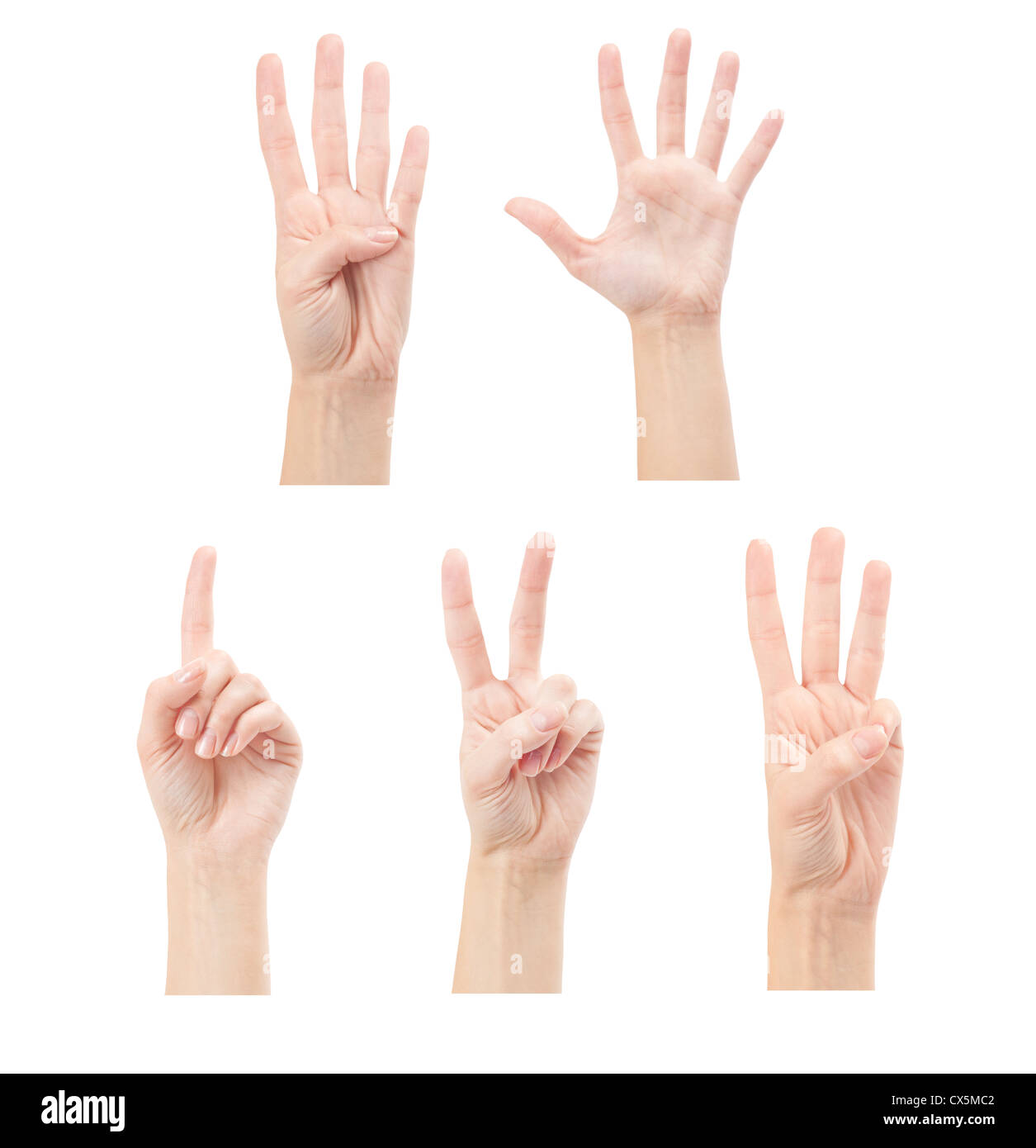 Counting woman hands (1 to 5) isolated on white background Stock Photo ...