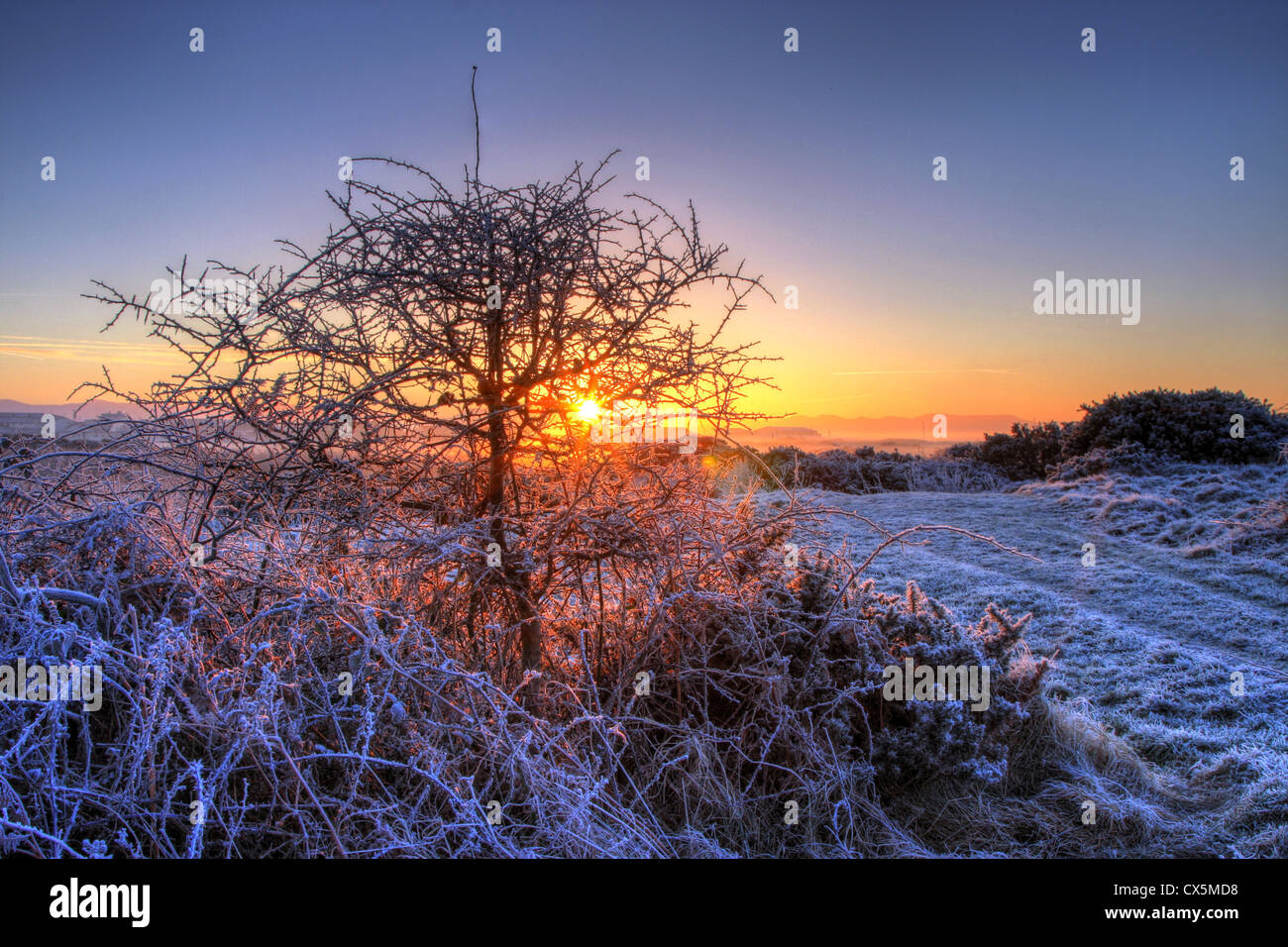 Sunrise on frosty morning hi-res stock photography and images - Alamy