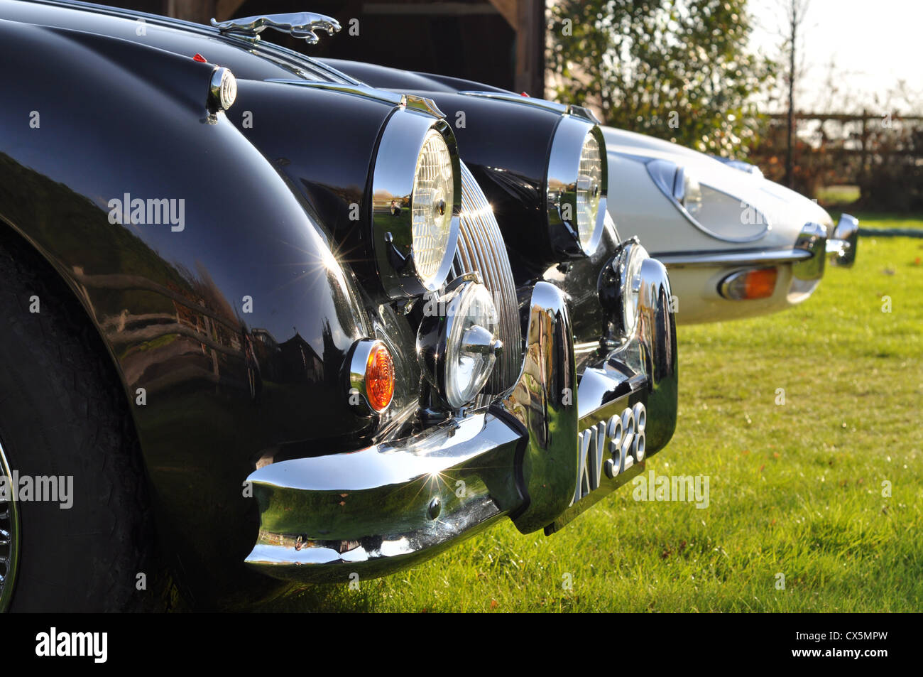 Sideways View Of The Bonnet Of A Jaguar XK150 And A Jaguar E Type Stock Photo Alamy