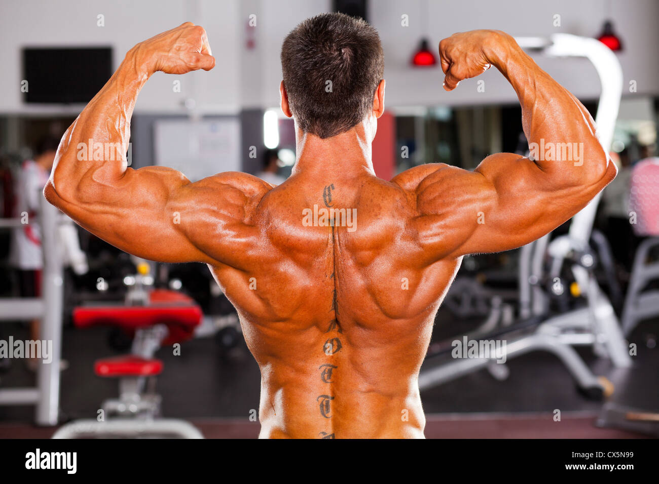 rear view of male bodybuilder Stock Photo - Alamy