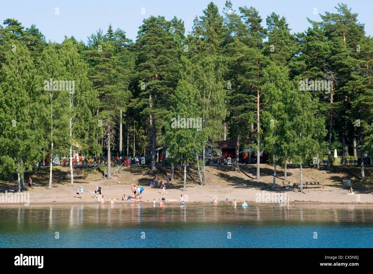 Swedish beach beaches summer time summertime forest clean water hasselo ...