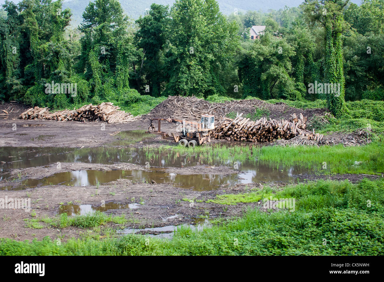 Commercial Logging Camp Stock Photo - Alamy