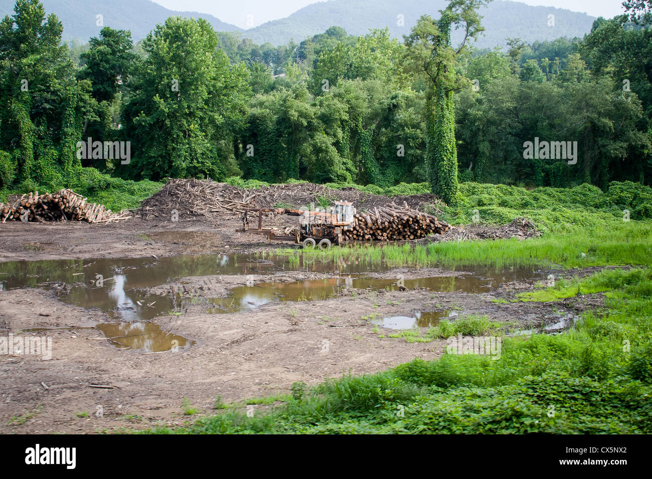 Commercial logging hi-res stock photography and images - Alamy