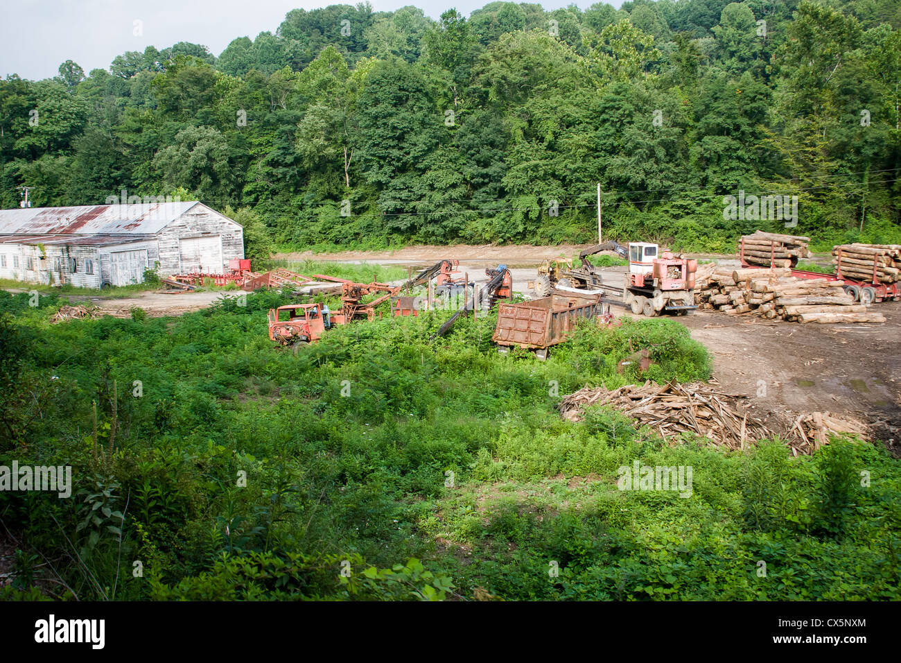Commercial Logging Camp Stock Photo - Alamy
