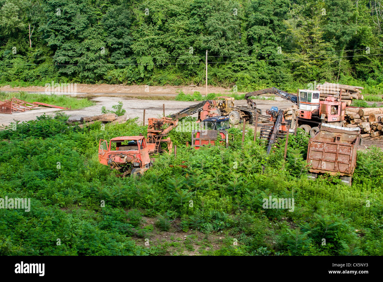Commercial Logging Camp Stock Photo - Alamy