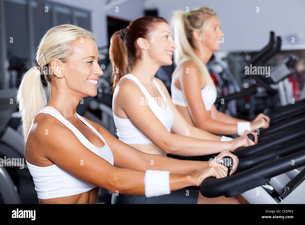 group of young women cycling in gym Stock Photo - Alamy