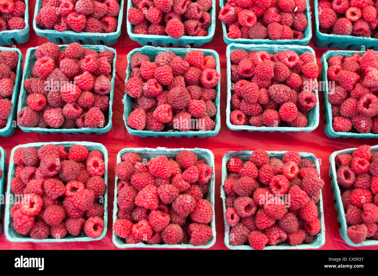 Boxes of fresh red raspberries at the market Stock Photo - Alamy