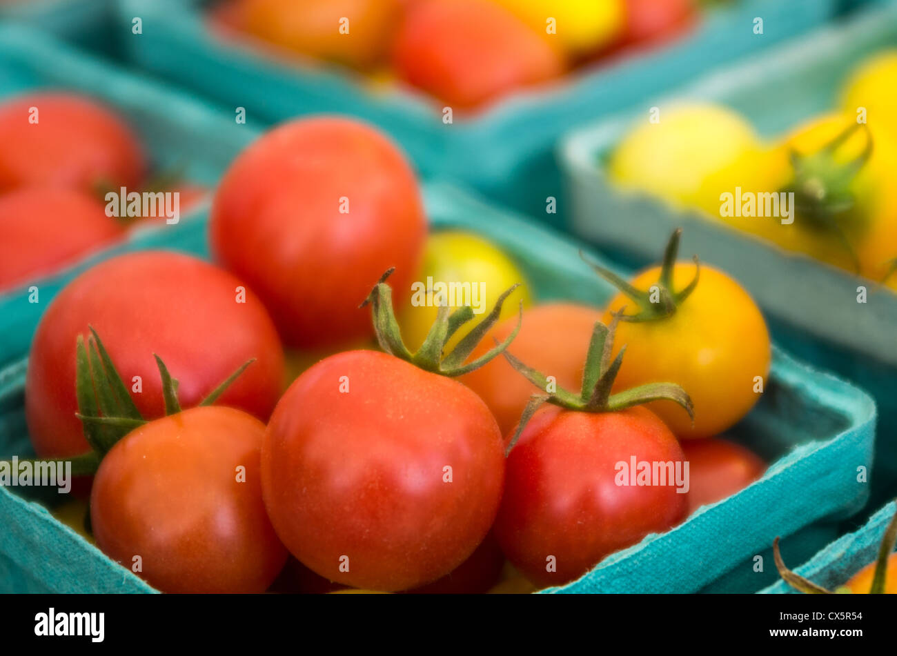 Small tomatoes on display in boxes at the market Stock Photo - Alamy