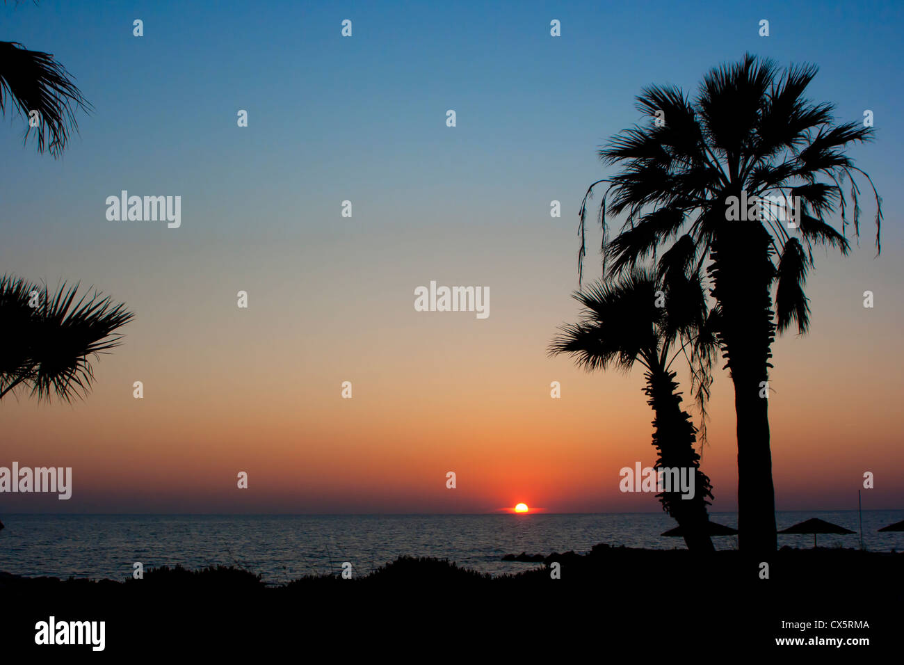 Sunset and palm trees, beach, Paphos, Cyprus Stock Photo - Alamy