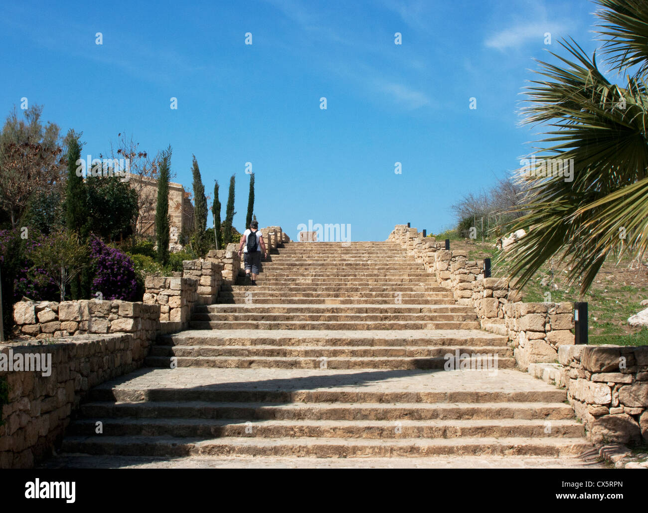 Steps leading to Roman ruins at Paphos, Cyprus Stock Photo - Alamy