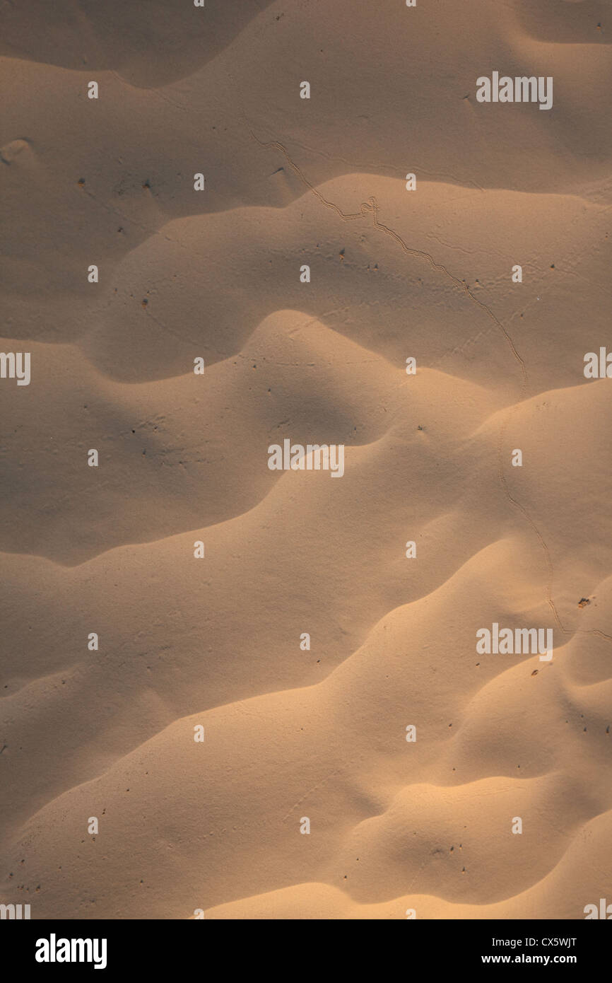 Wind textures on sand in Sahara Stock Photo - Alamy