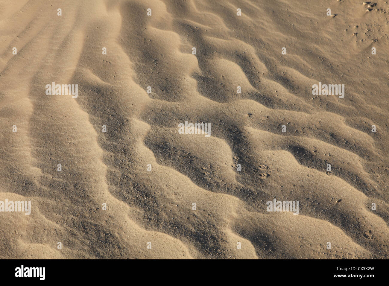 Wind textures on sand in Sahara Stock Photo - Alamy