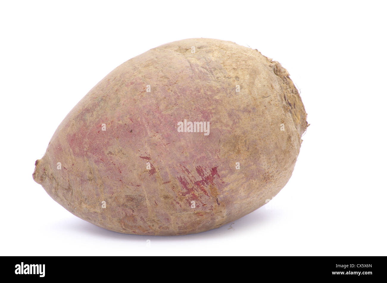 Closeup beetroot beet root hi-res stock photography and images - Alamy