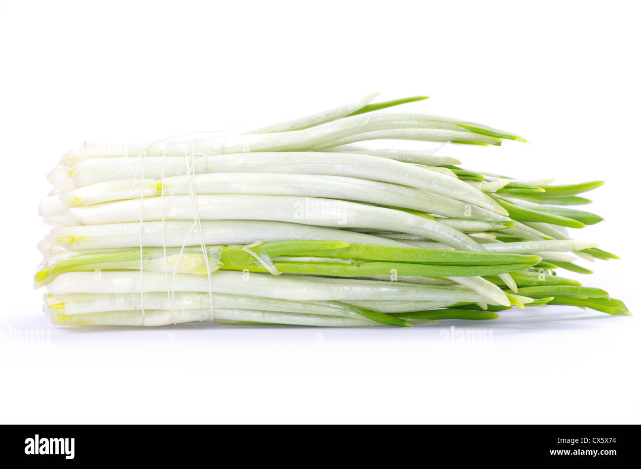 ramson bunch vegetable isolated on white background Stock Photo - Alamy