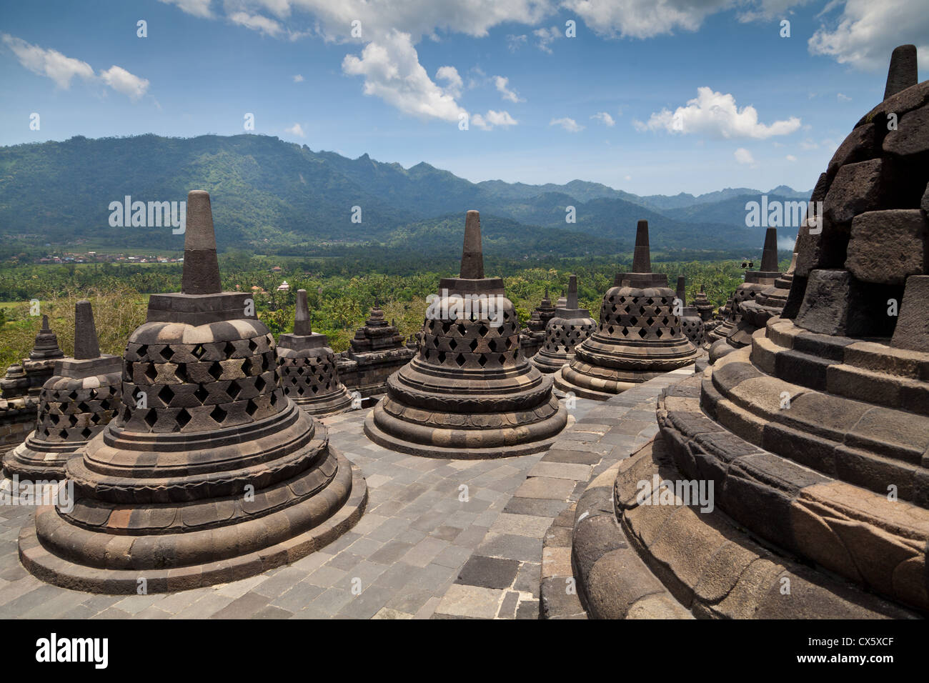 Stupas on the Buddhist Temple Borobudur in Indonesia Stock Photo - Alamy