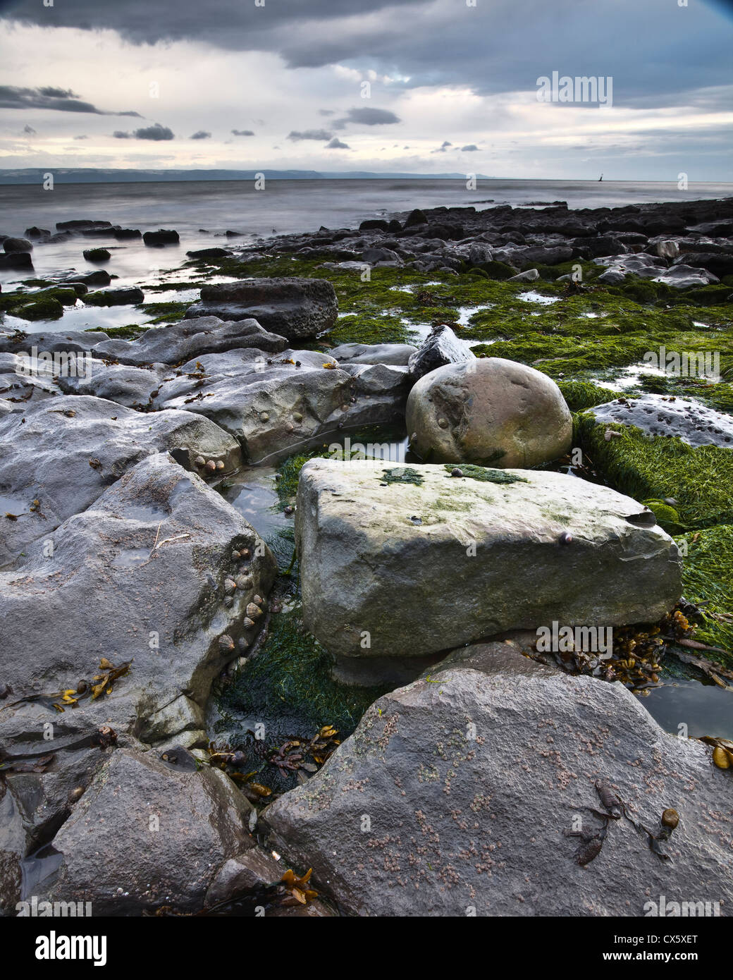 Geology on the gower hi-res stock photography and images - Alamy