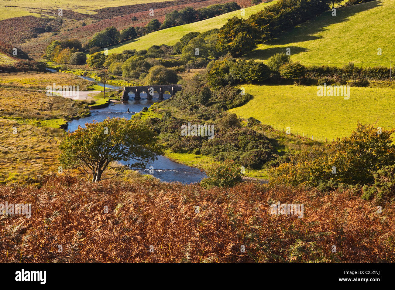 The medieval bridge of Landacre near to the village of Withypool ...