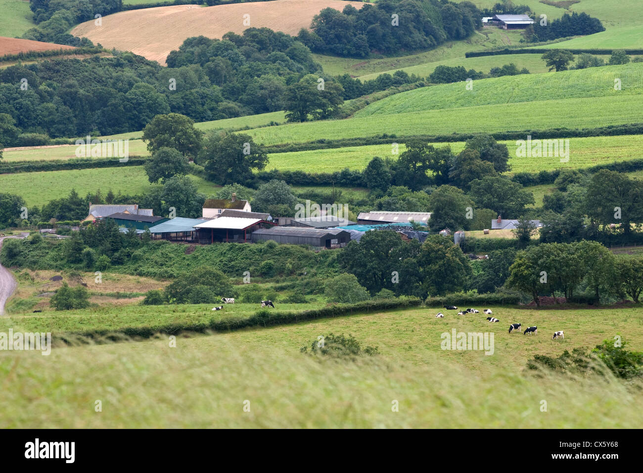 Devon farming landscape Stock Photo - Alamy