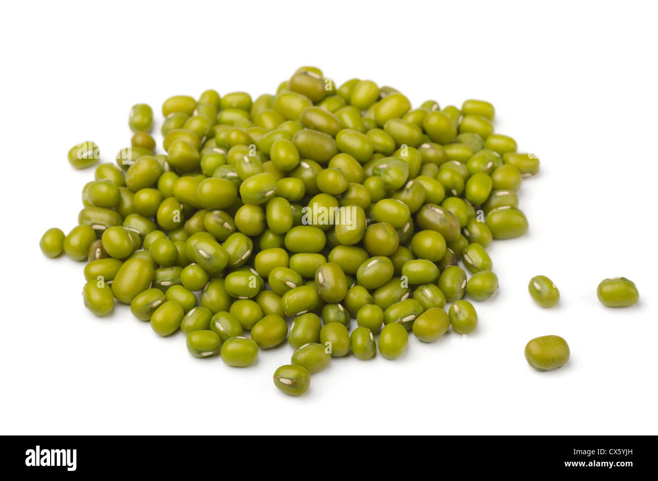 Mung beans plant Cut Out Stock Images & Pictures - Alamy