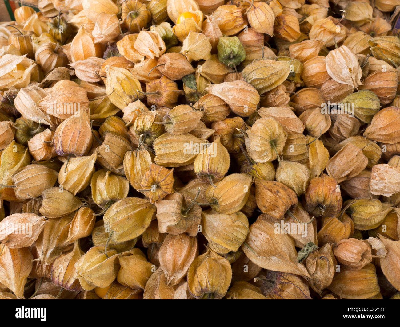 Mistura food fair in Lima.Peru Stock Photo - Alamy