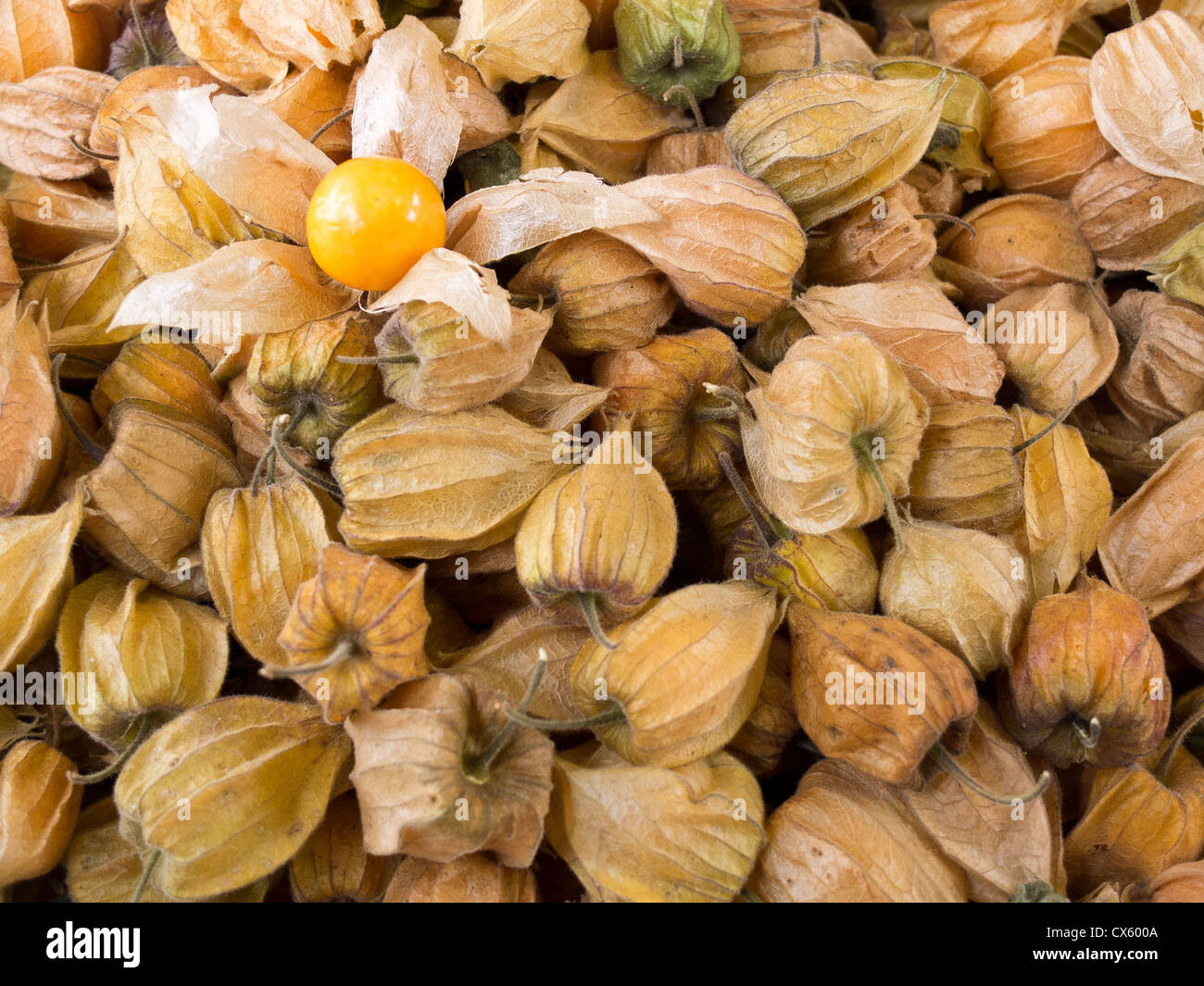 Mistura food fair in Lima.Peru Stock Photo - Alamy