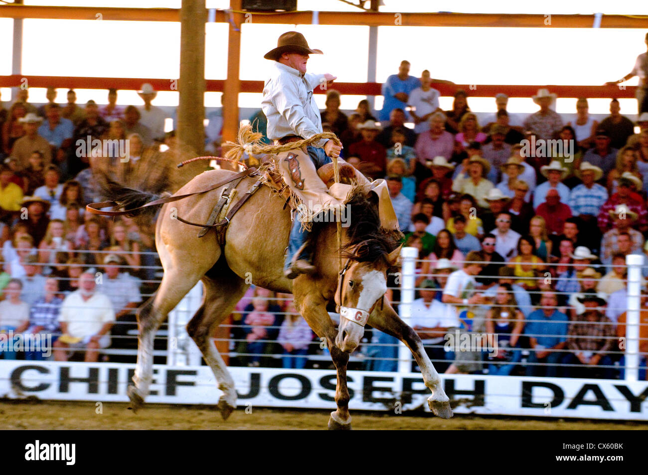 Rodeo Grounds High Resolution Stock Photography and Images - Alamy