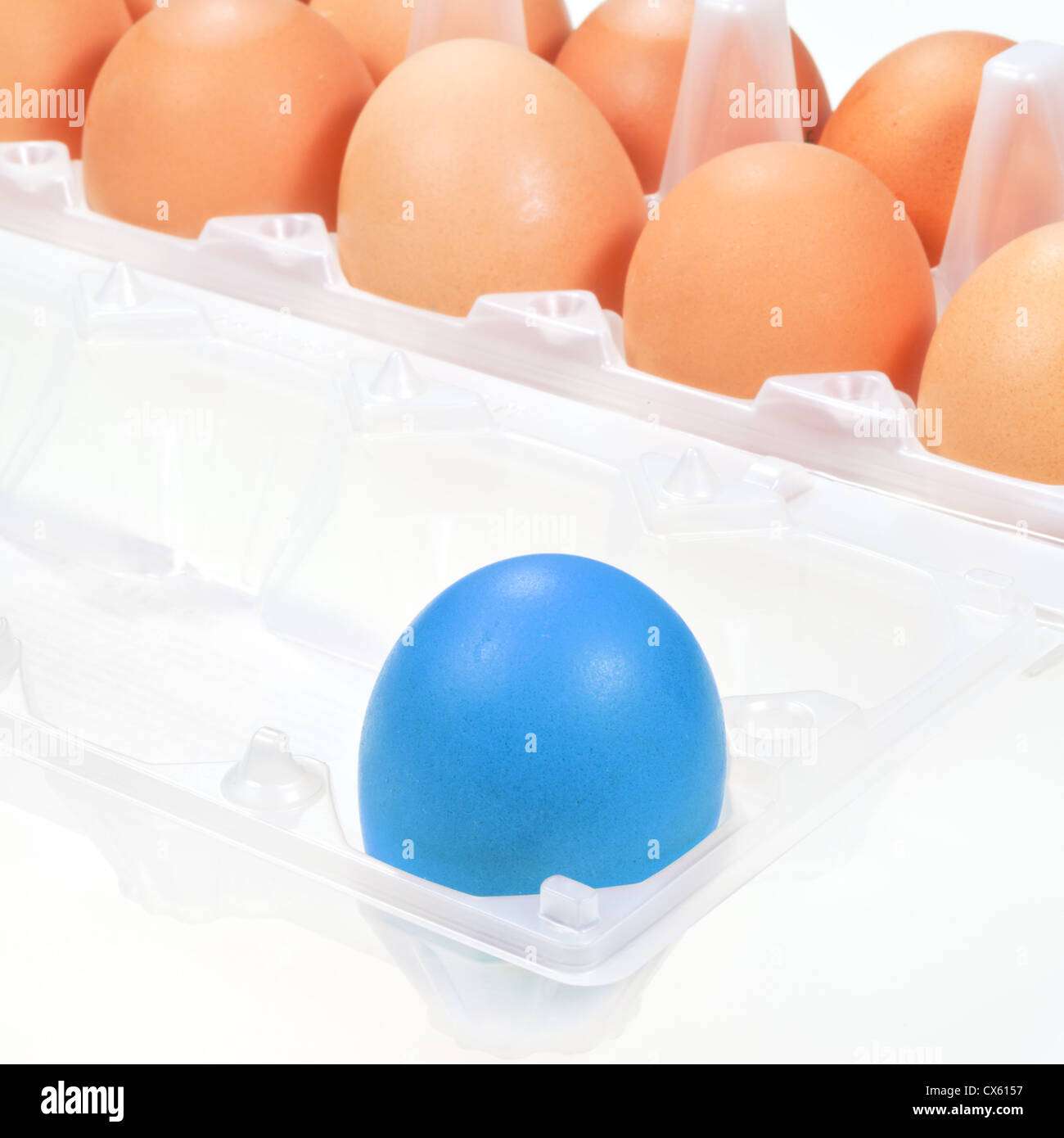 one separate blue chicken egg against several brown eggs Stock Photo ...