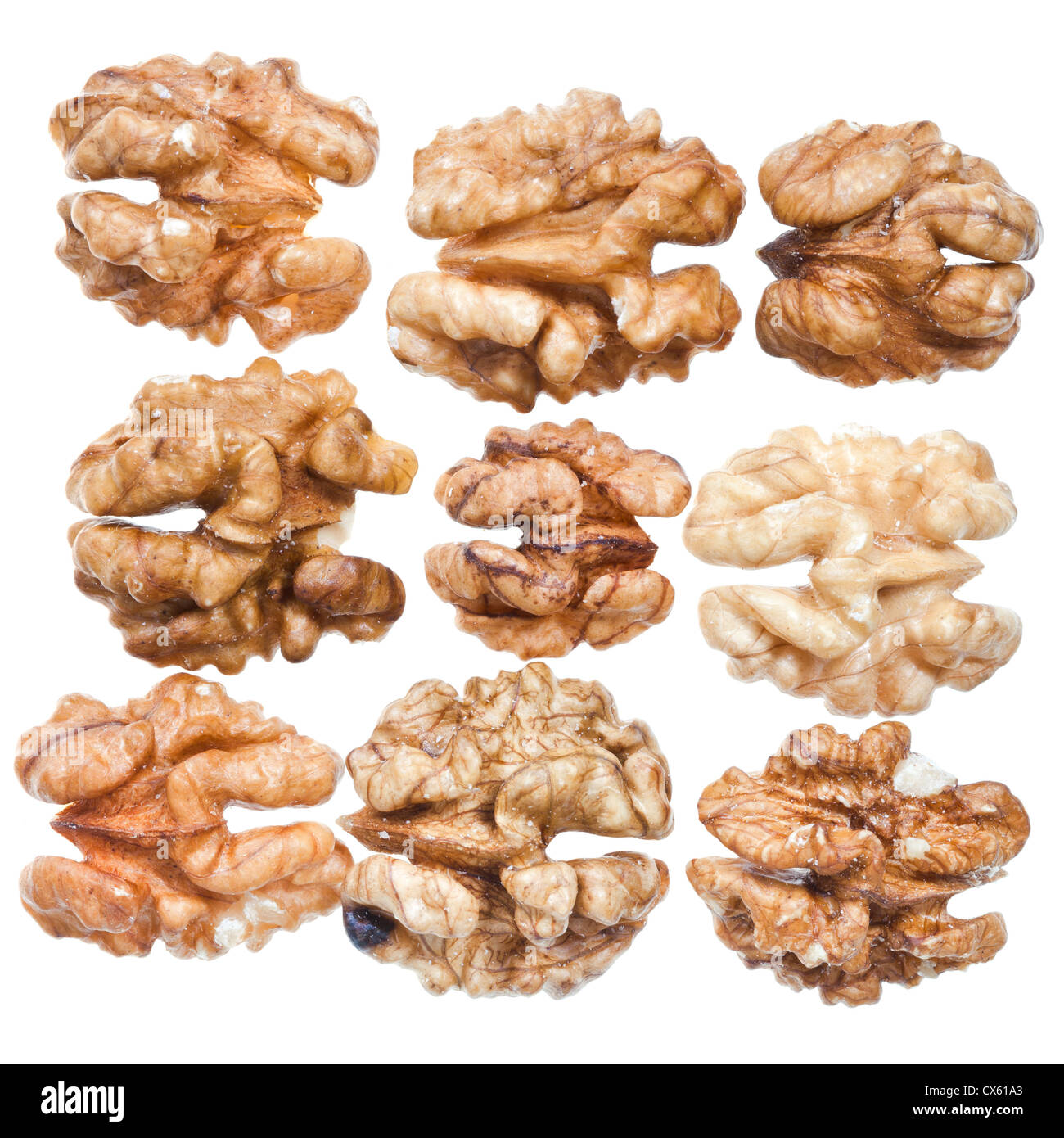 rows of peeled walnut kernels isolated on white background Stock Photo ...