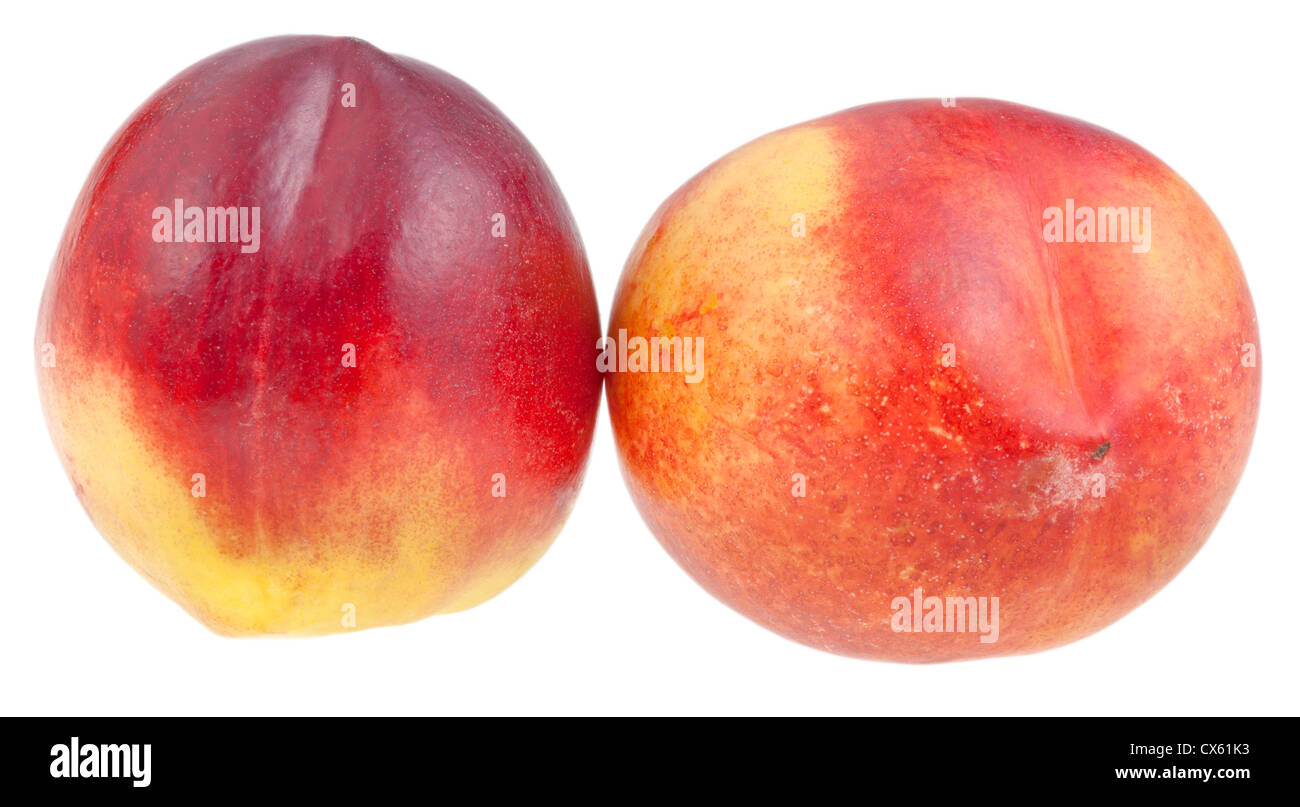 two ripe Nectarines close up isolated on white background Stock Photo ...