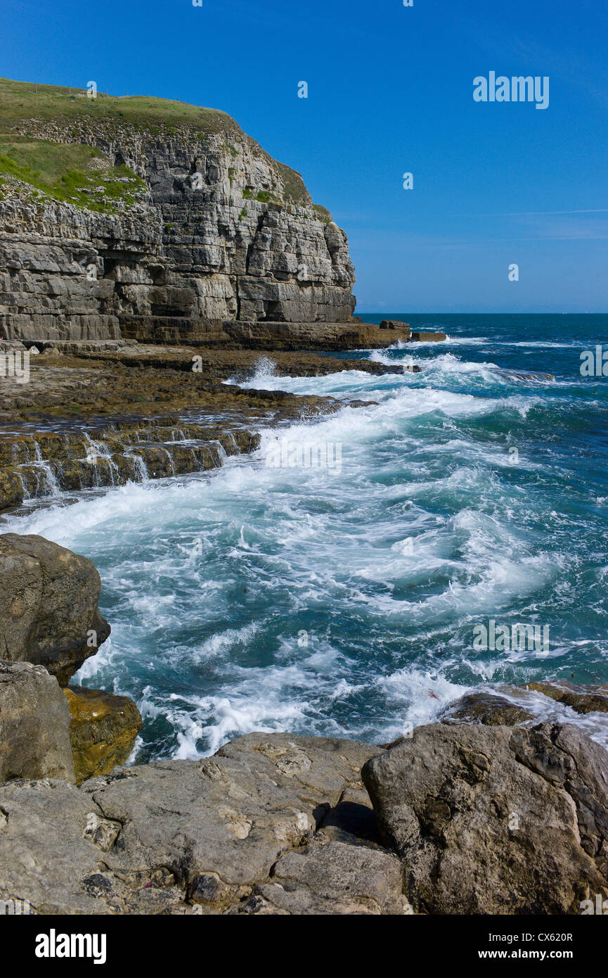 Seacombe Cliff Dorset High Resolution Stock Photography and Images - Alamy