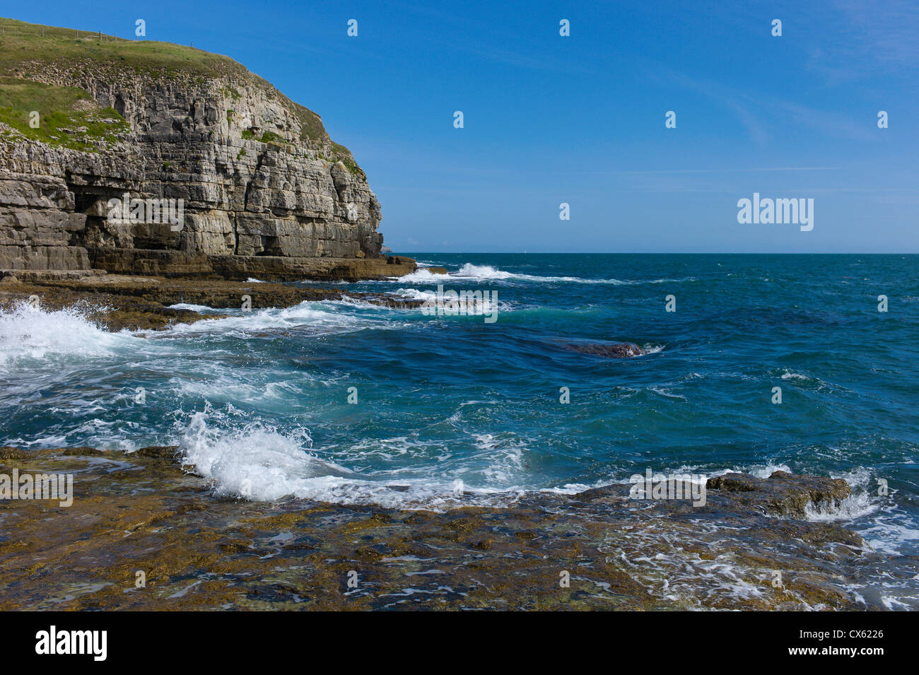 Seacombe Cliff Dorset High Resolution Stock Photography and Images - Alamy