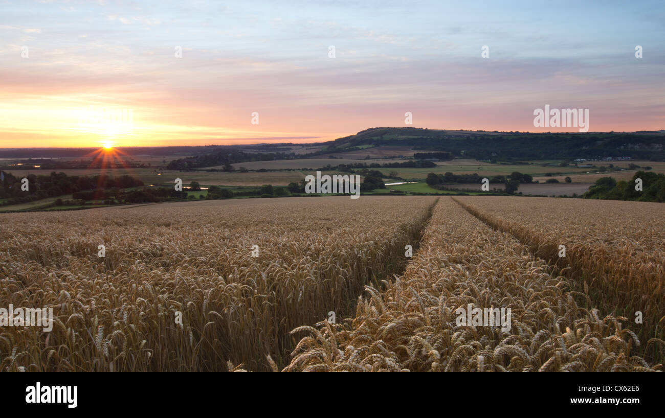 Sunrise harvest sussex hi-res stock photography and images - Alamy