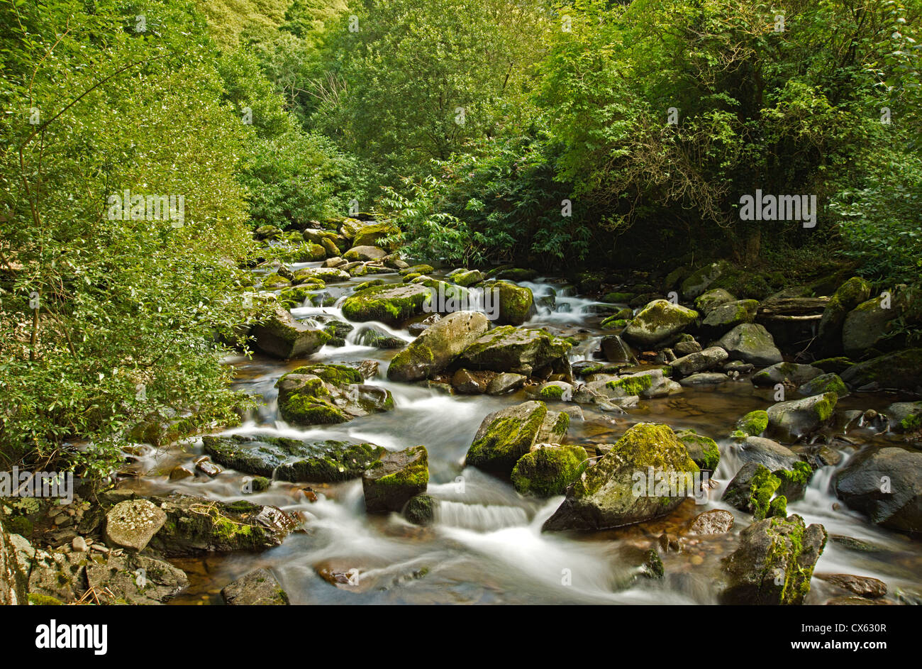 River which runs through to Lynmouth, North Devon,Exmoor national park ...